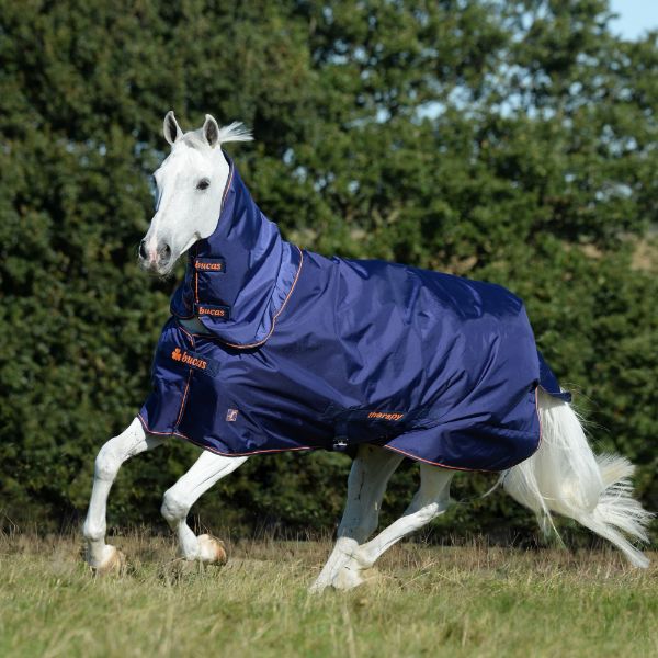 Blocker Ranch - Therapy Turnouts & Sheets